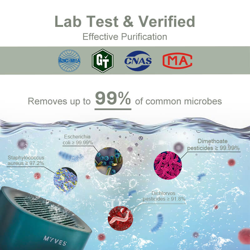 Fruits & Vegetables Purification Box P1 - MYVES Veggies Washer – Myves ...